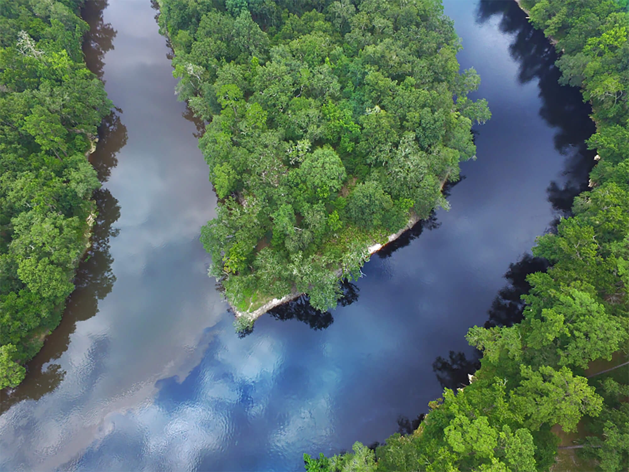 Suwannee Riverfront Homes